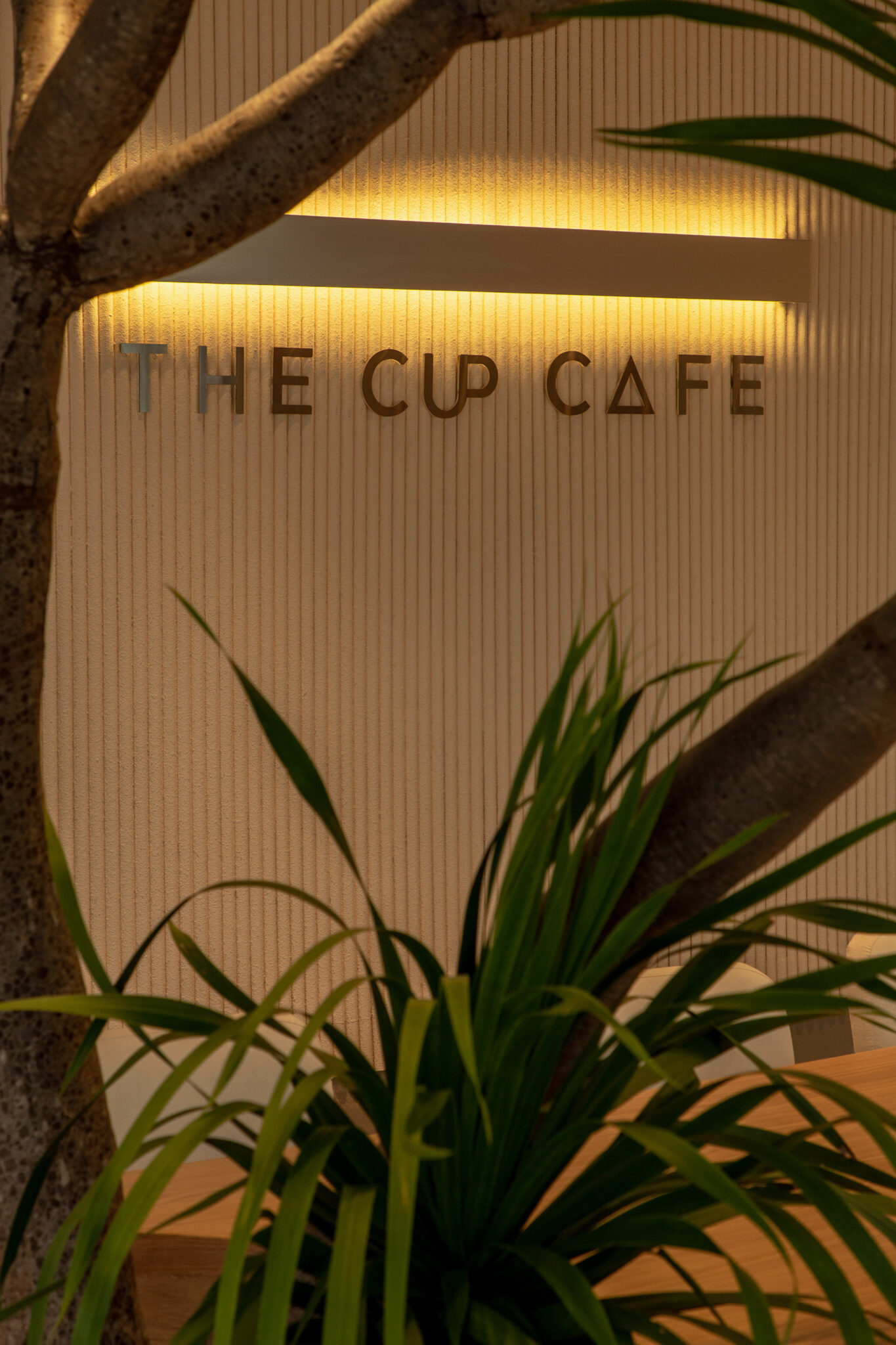 "The Cup Cafe" không là The Cup Coffee hay The Cups Coffee - The Cup Cafe