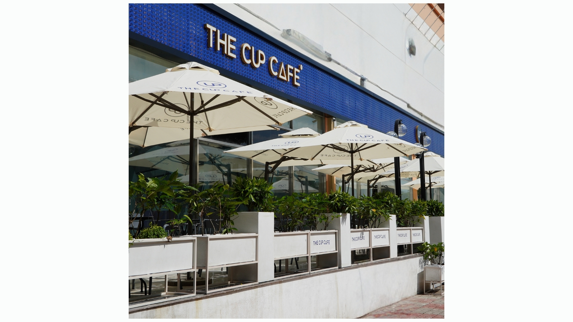The Cup Cafe - TTTM LOTTE Mart Bình Dương - The Cup Cafe